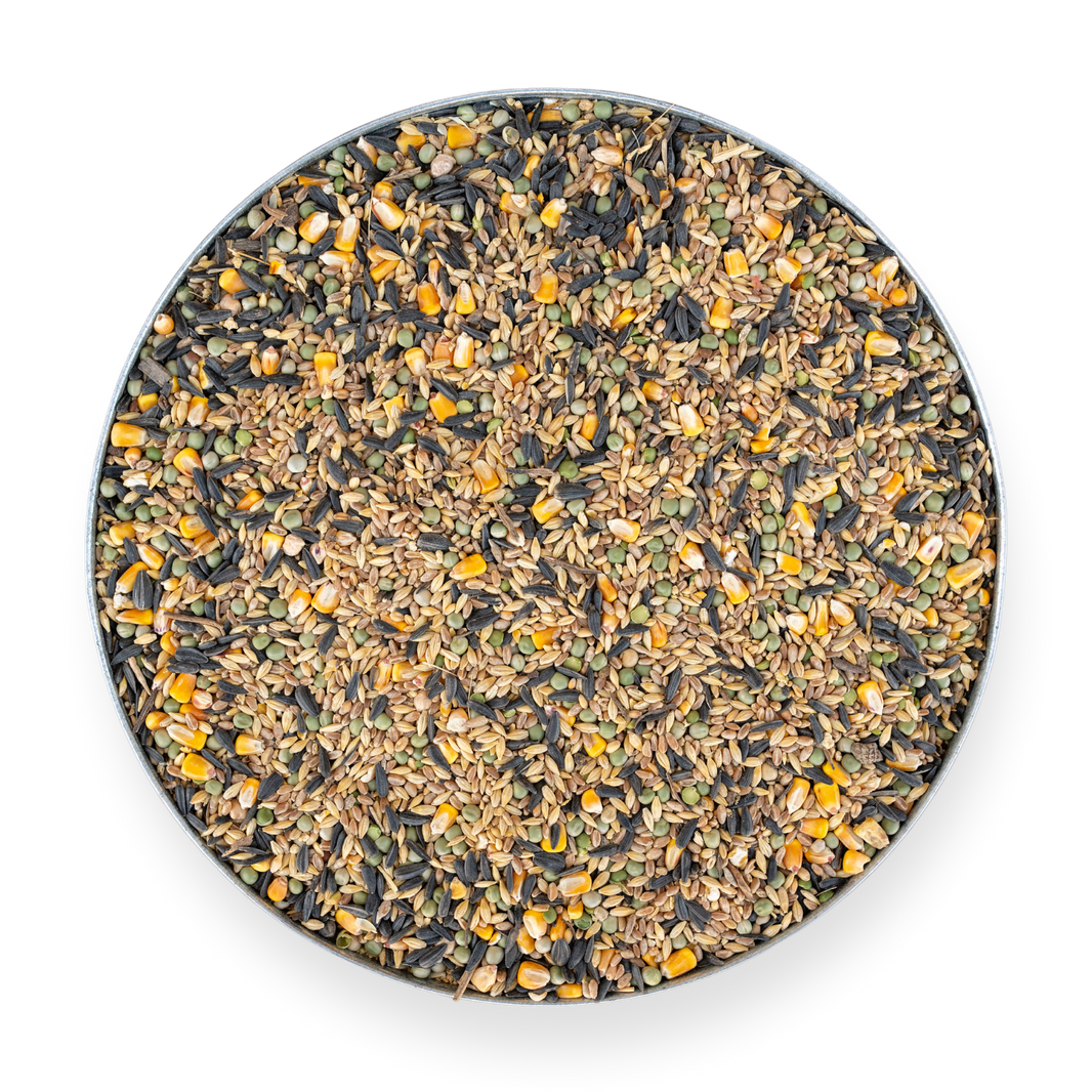 Eppich Grain | Farm-fresh animal feed, delivered directly to you